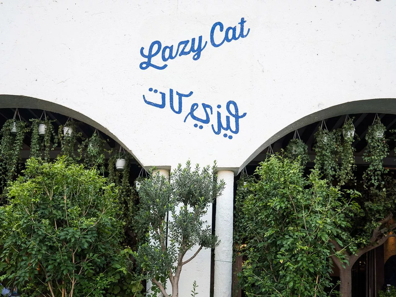 Lazy Cat Restaurant (Al Seif Palace) - Kuwait | Lazy Cat